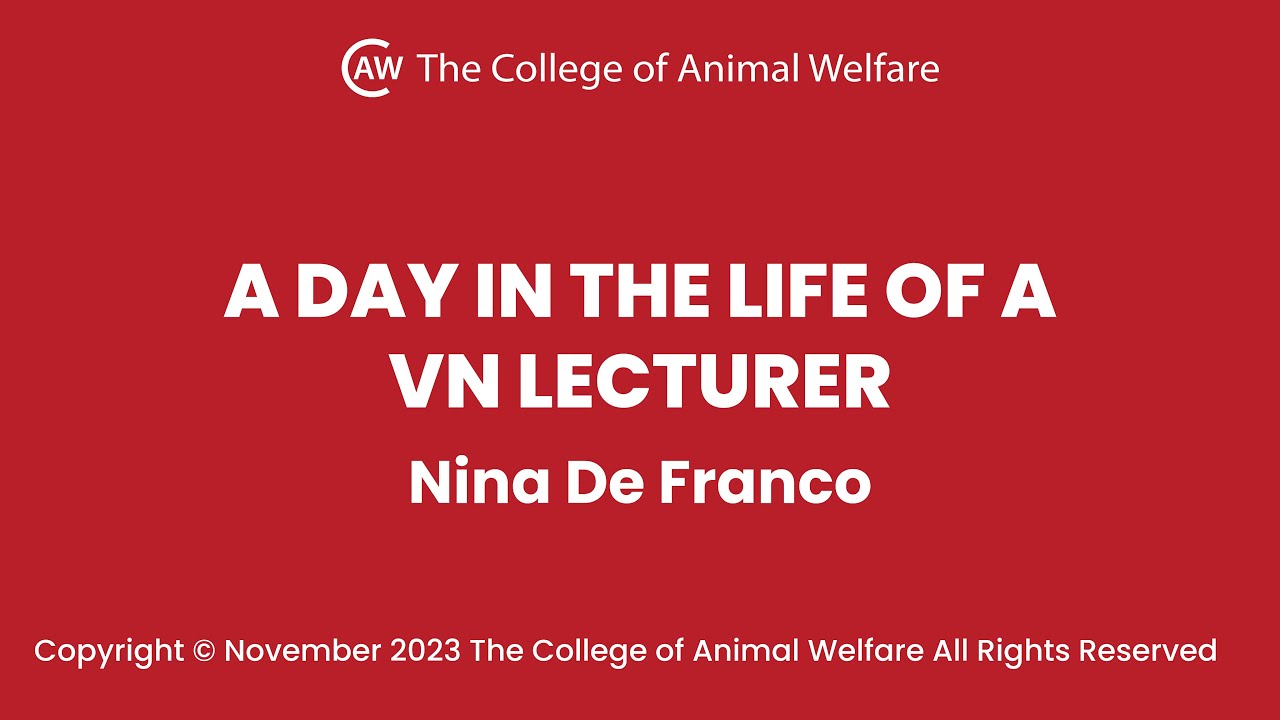 A Day In The Life Of A VN Lecturer - Nina De Franco MRCVS - YouTube