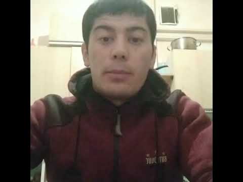 Qurbaqa ho'kiz haqida