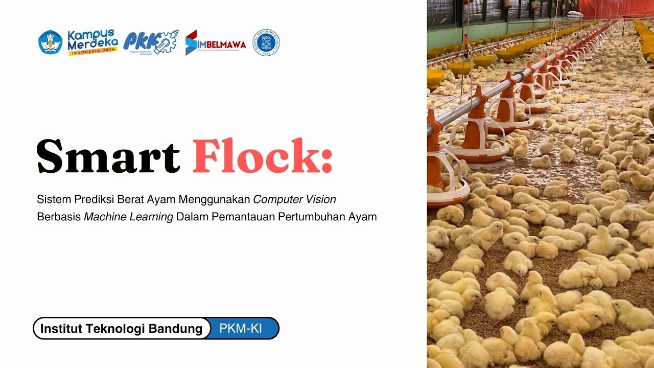 PKM-KI : Smart Flock "Sistem Prediksi Berat Ayam Menggunakan Computer ...