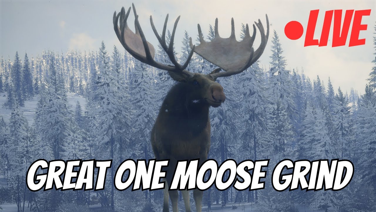 GO Moose Grind #2 - Hunter call of the wild - YouTube