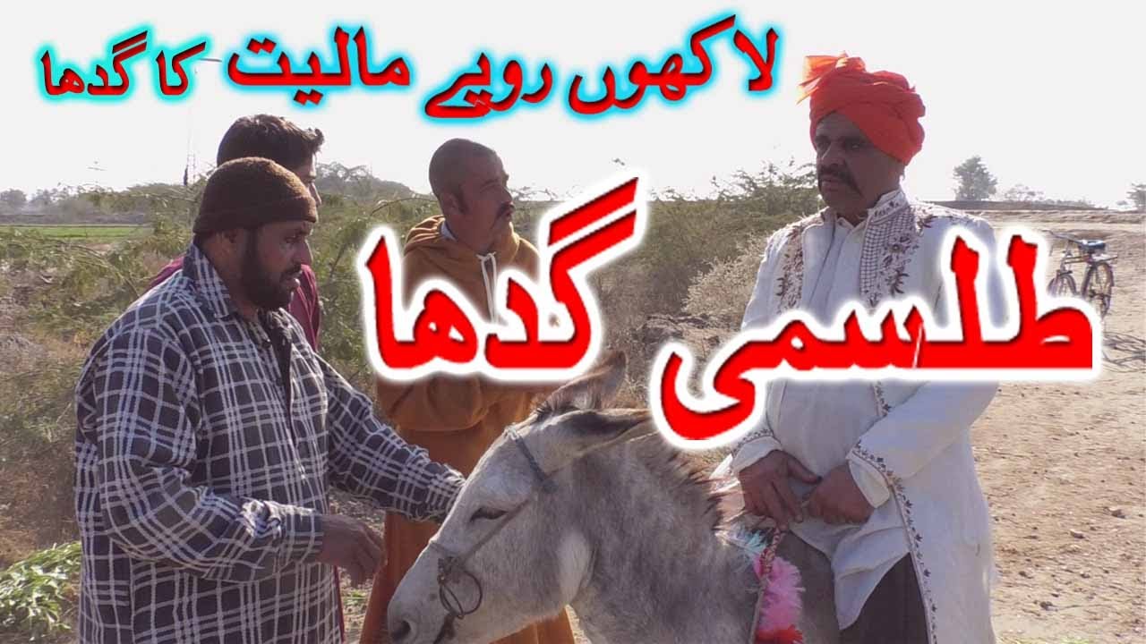 SUNEHRA GADHA | golden donkey | donkey kong | new Funny 2021 khas gadha ...