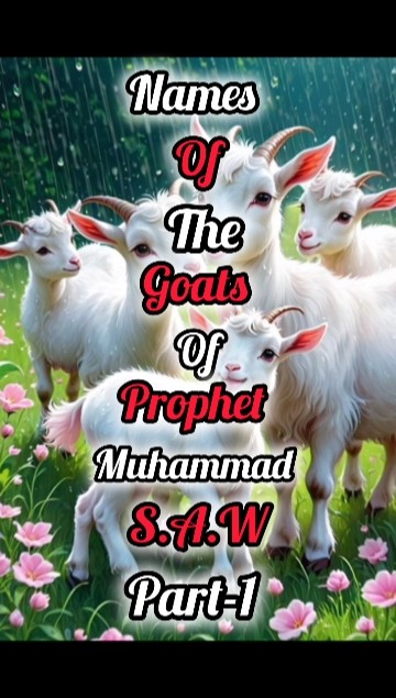 Names of the goats of prophet Muhammad S.A.W 🥰 part-1 - YouTube