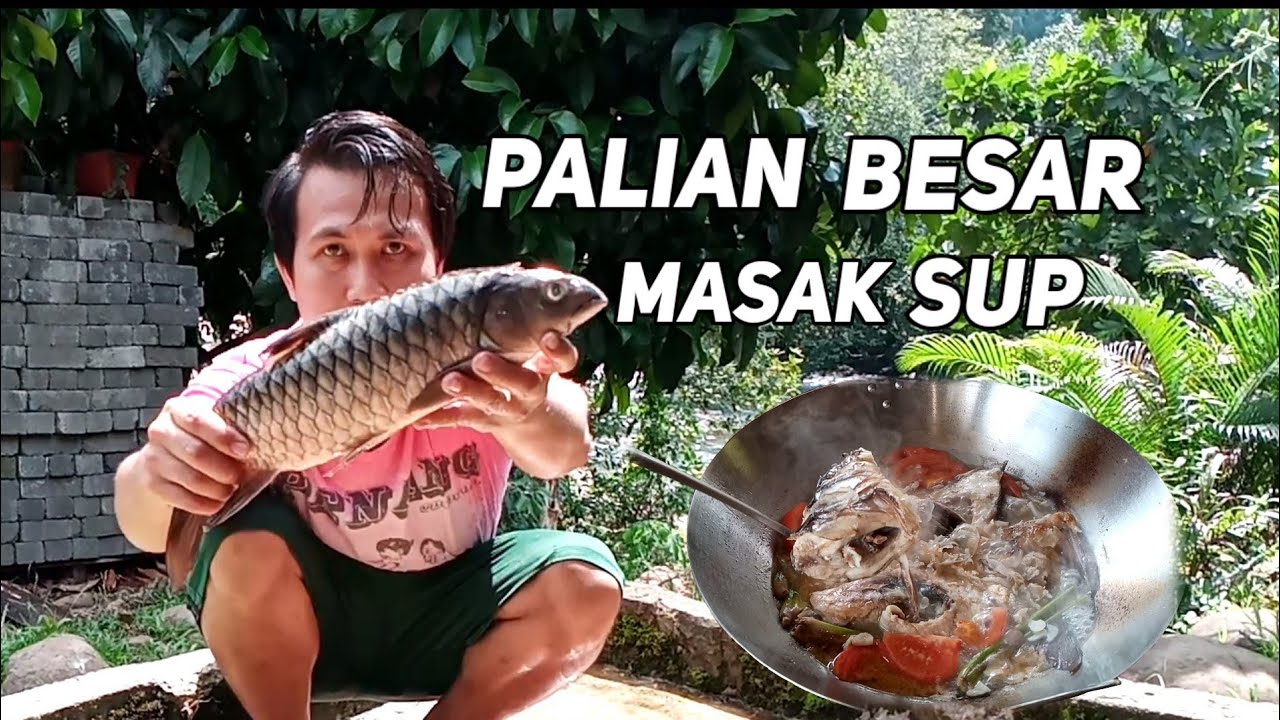 Beli Ikan Palian Besar 1kg RM 47 Masak Sup Serai || Mantap👍👍 - YouTube