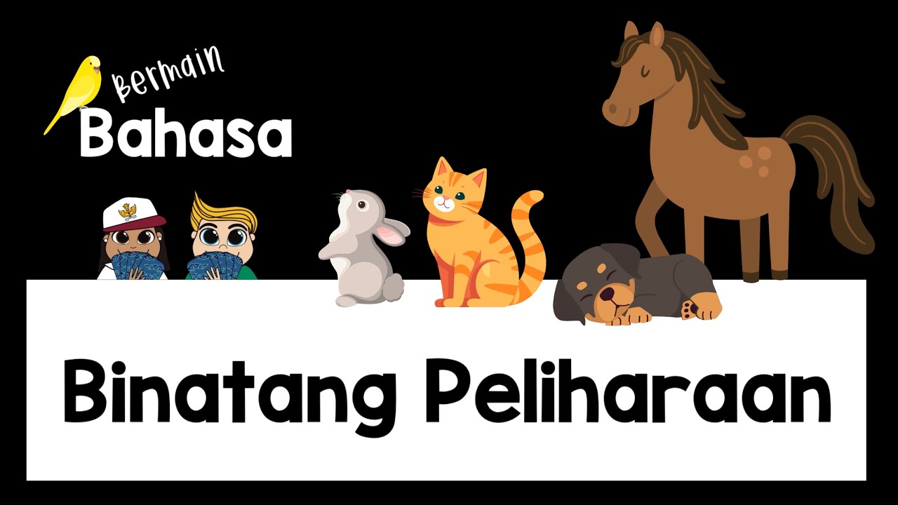 🇮🇩 Binatang Peliharaan - Pet Animals Indonesian Vocabulary ...