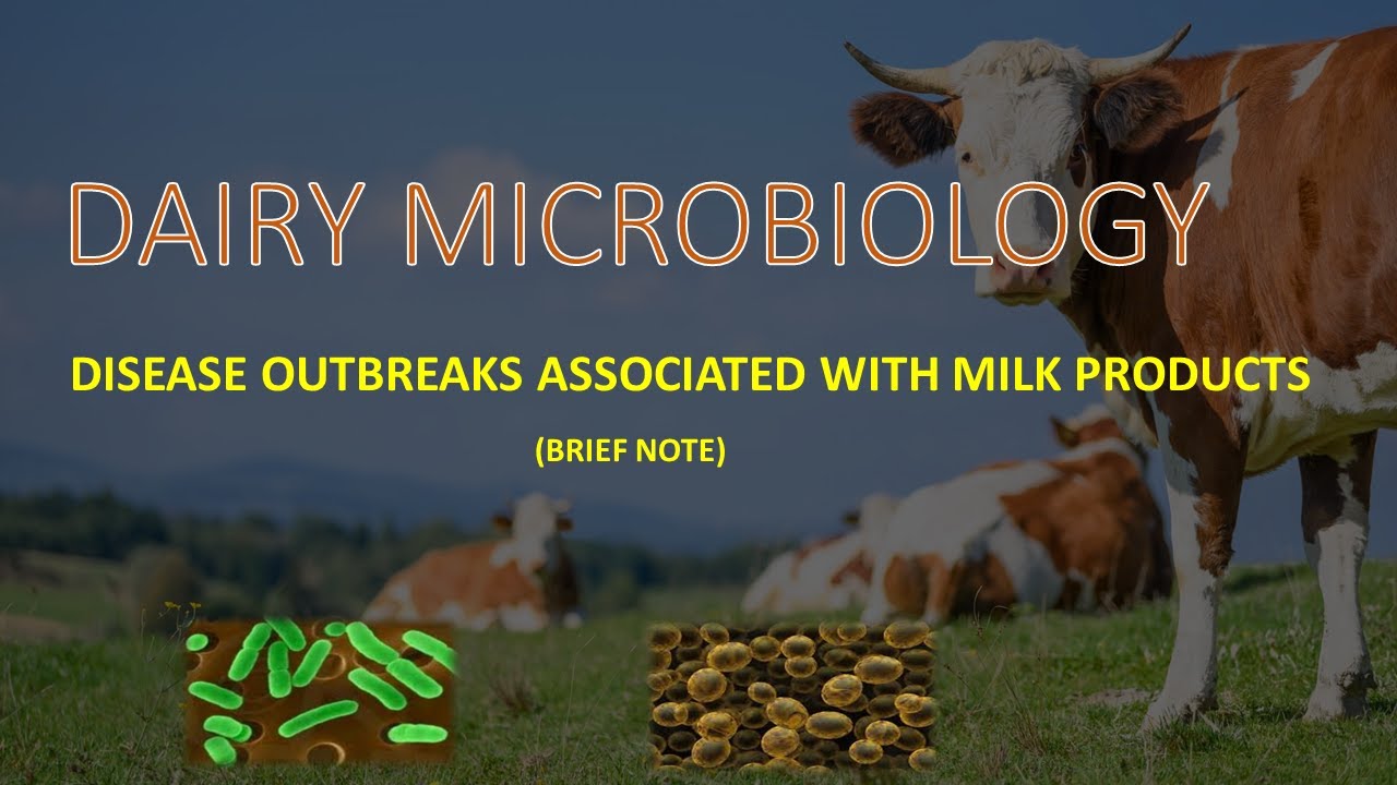 DAIRY MICROBIOLOGY II DISEASE OUTBREAKS ASSOCIATED WITH MILK PRODUCTS ...