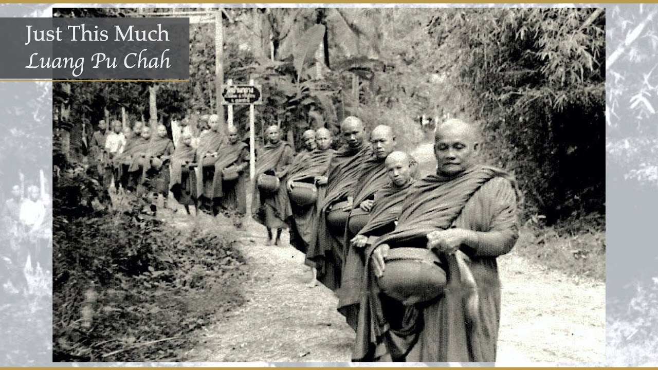 Just This Much | Ajahn Chah - YouTube
