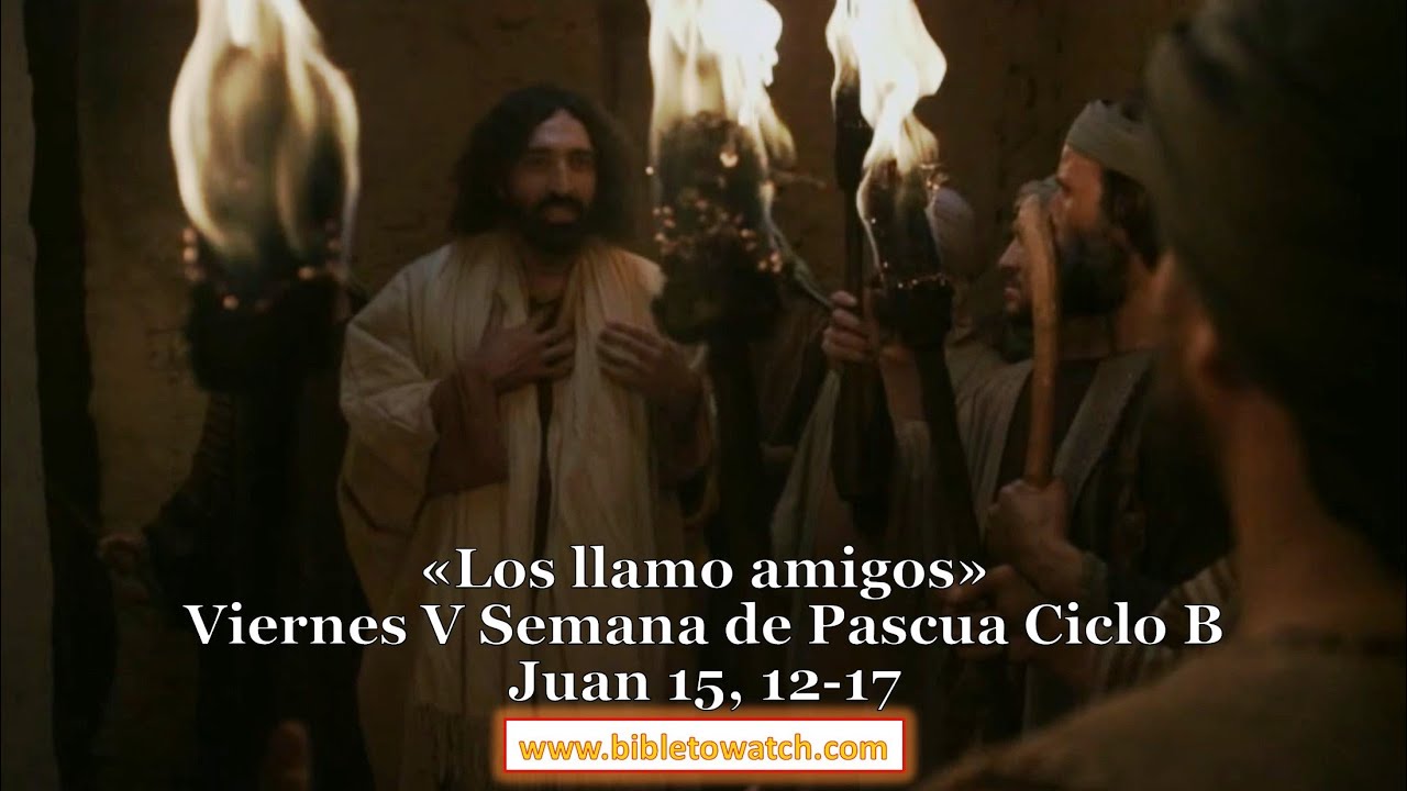 Viernes V Semana de Pascua Ciclo B: Juan 15, 12-17 #Bibletowatch - YouTube