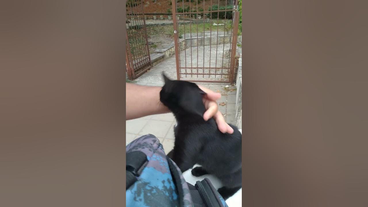 Вземи ме Youtube