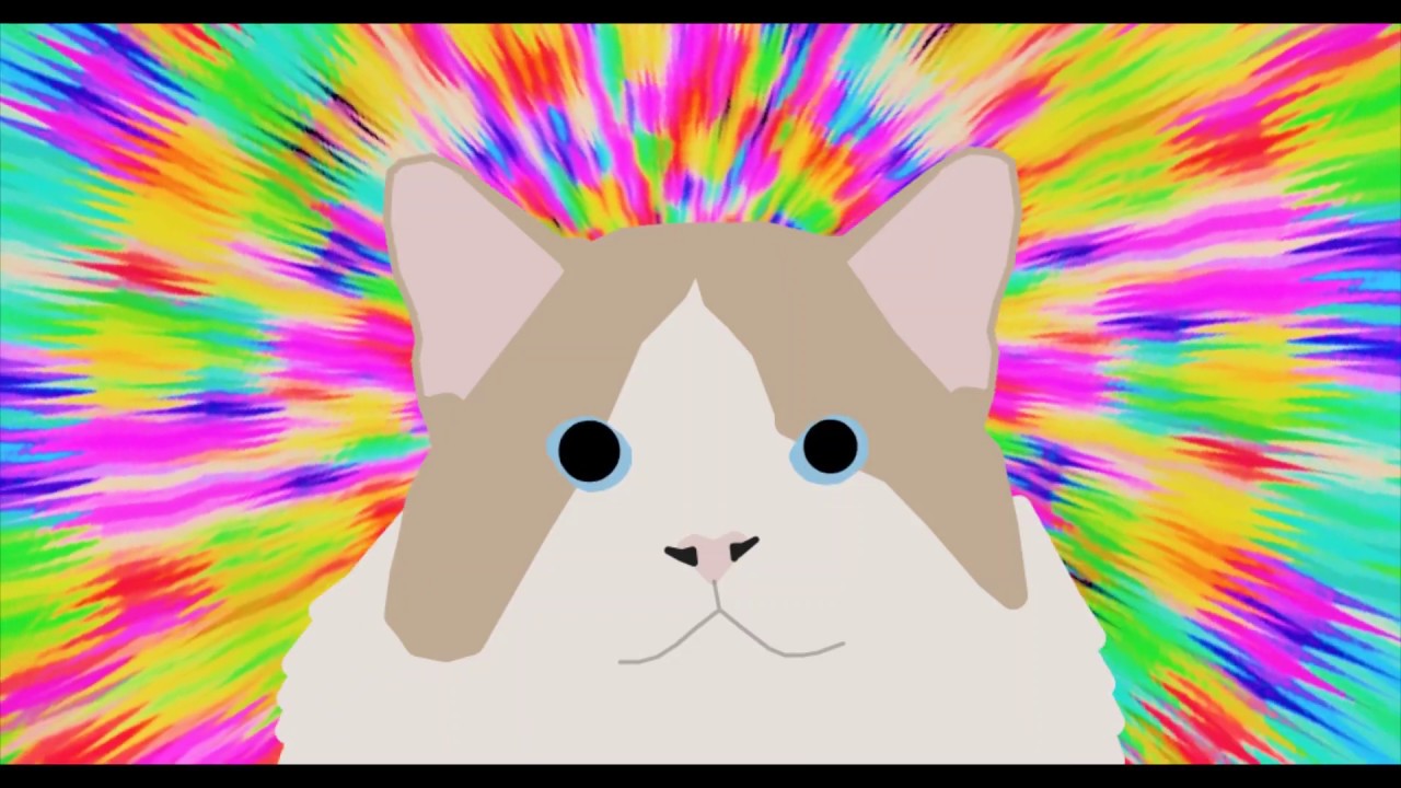 CATNIP/Animação - YouTube