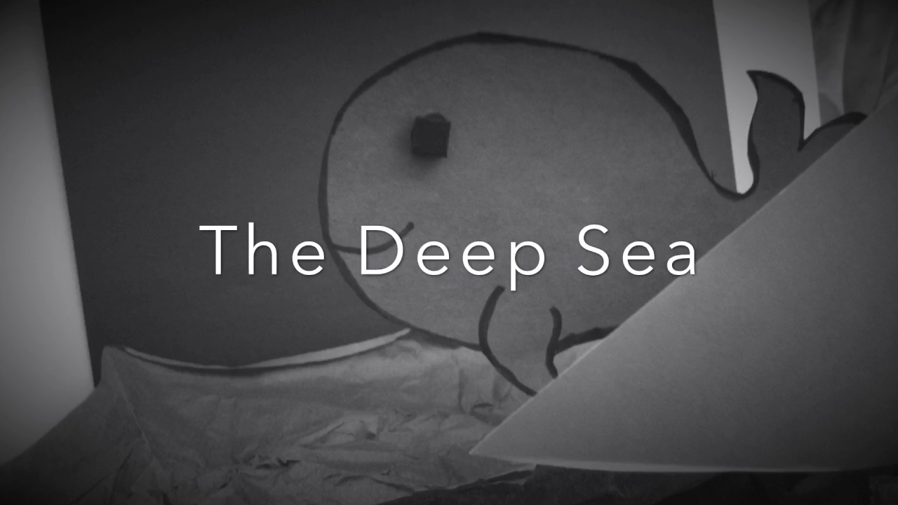 The Deep Sea (Stop Motion) - YouTube