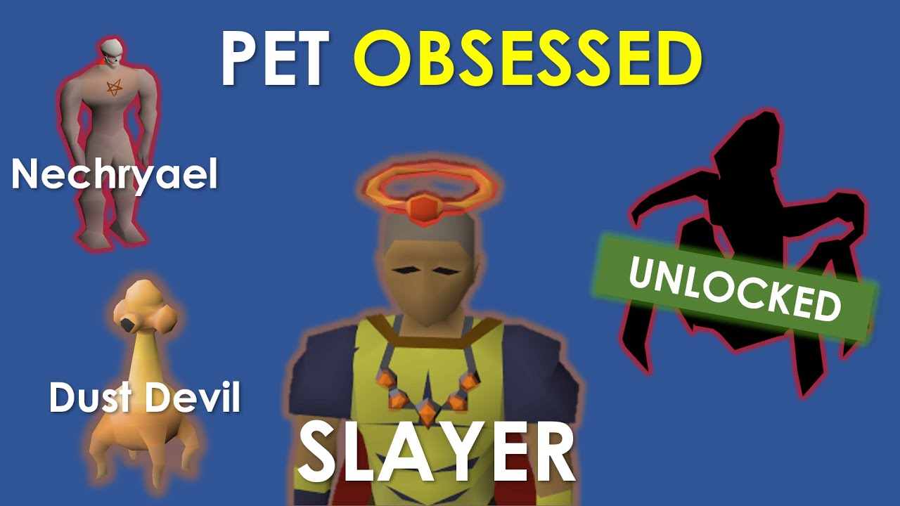 Pet Obsessed: Episode 9 - YouTube