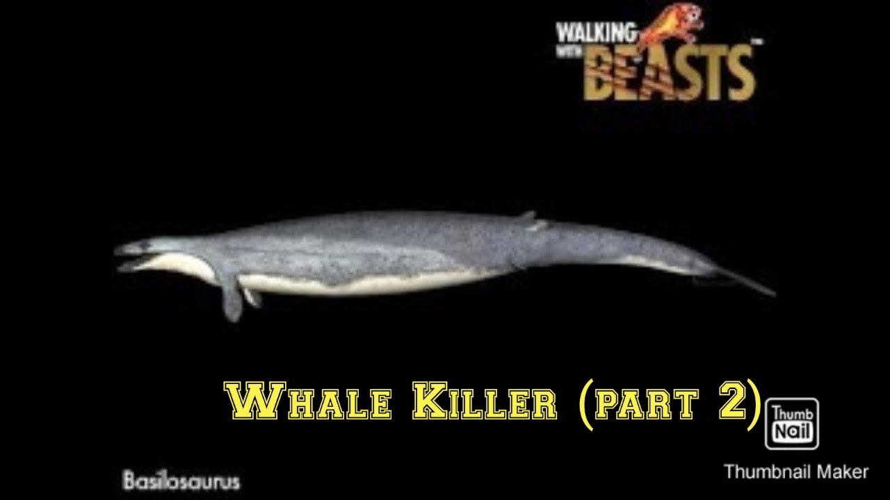 Walking with Beasts Episode 2 :Whale Killer( part 2) - YouTube