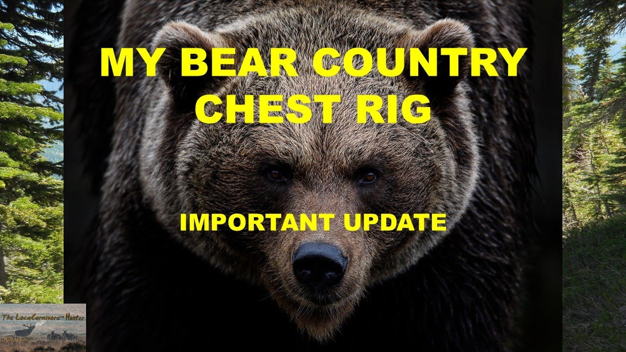 My BEAR COUNTRY Chest Rig [BIG Upgrades] - YouTube