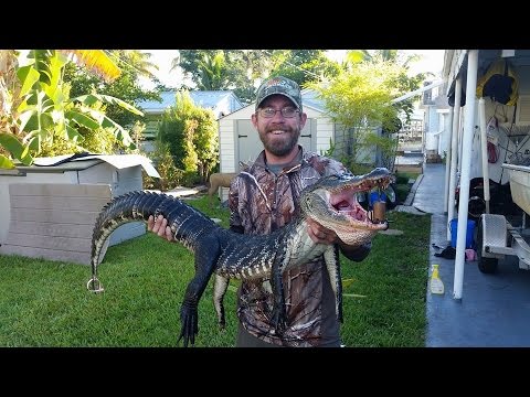 Alligator Hunting at Night - YouTube
