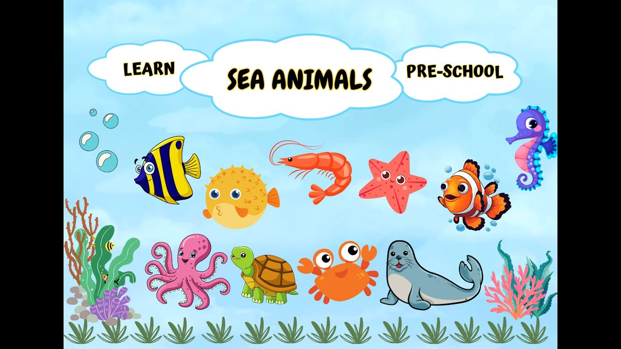 Learn Sea Animals for Kids | Preschool Education | Fun Kids Learning ...