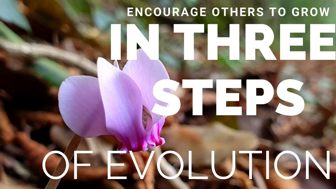 THE 3 TYPES OF EMANATIONS IN THE WORLD - YouTube