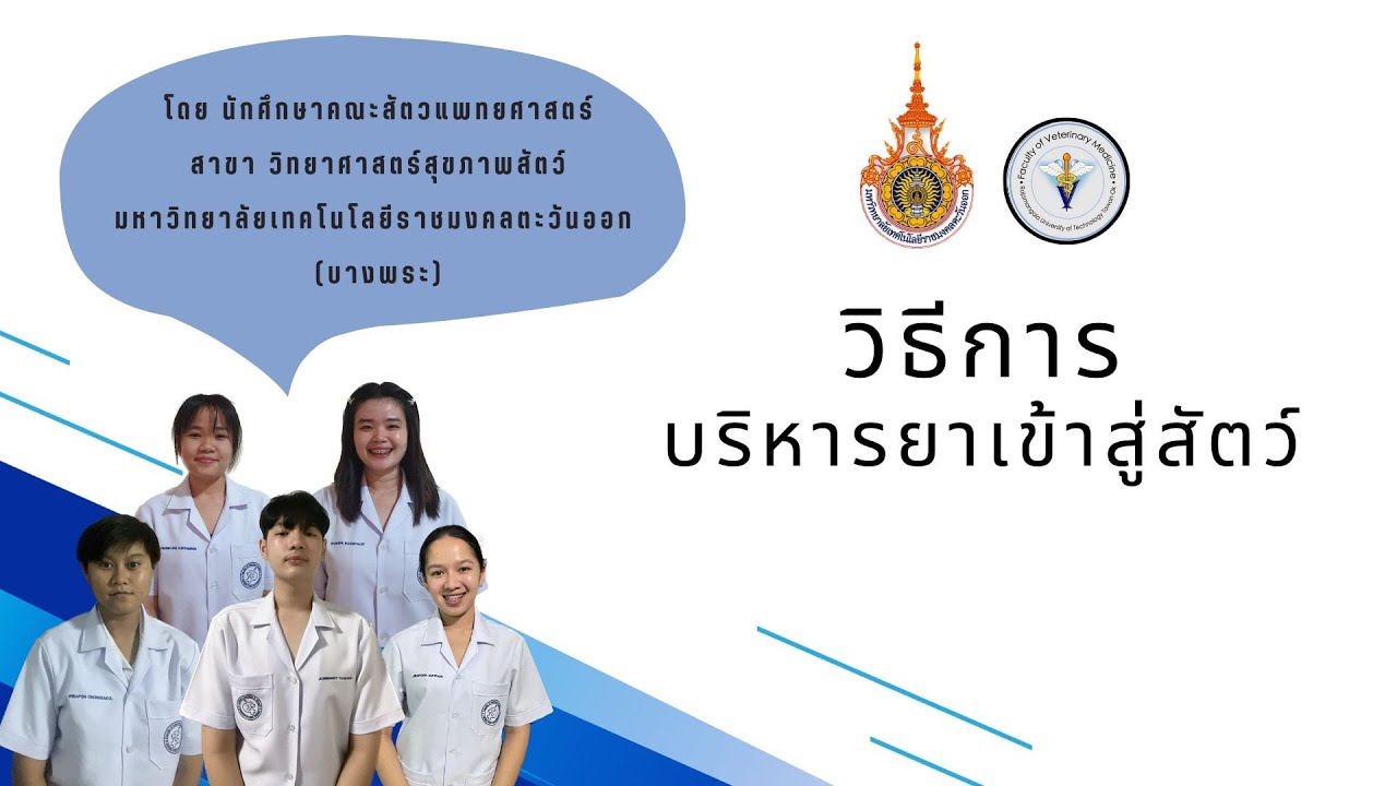 การพยาบาลสัตว์เบื้องต้น | การบริหารยาเข้าสู่สัตว์ #RMUTTO - YouTube