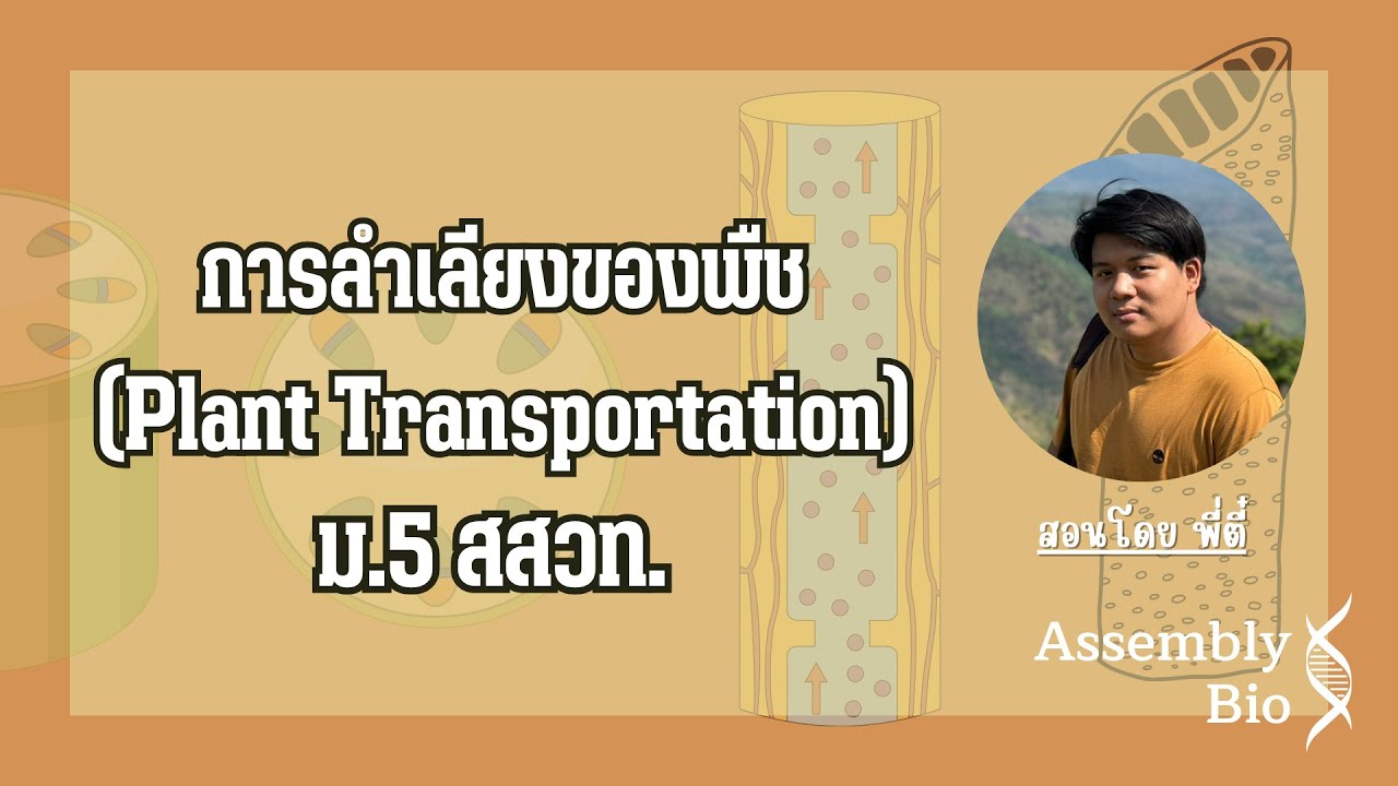 ติวชีวะฟรี บทการลำเลียงของพืช by Assembly Bio - YouTube