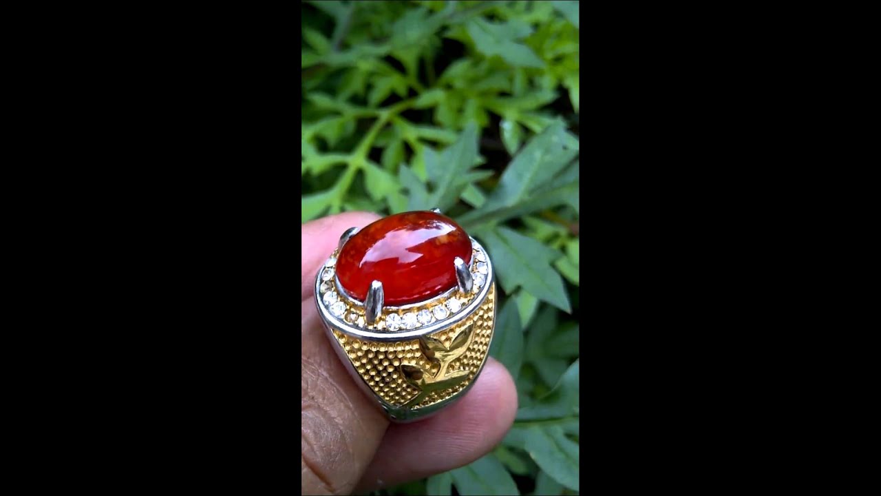batu cincin red rafflesia - YouTube