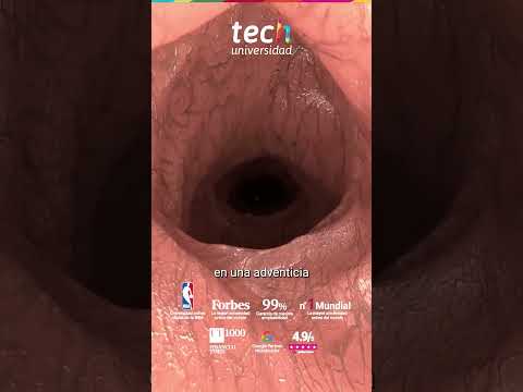 Anatomía vulvar en ginecología estética y funcional ❘ TECH Universidad