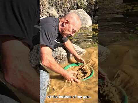 Dave Turin's Tips on Panning for Gold!
