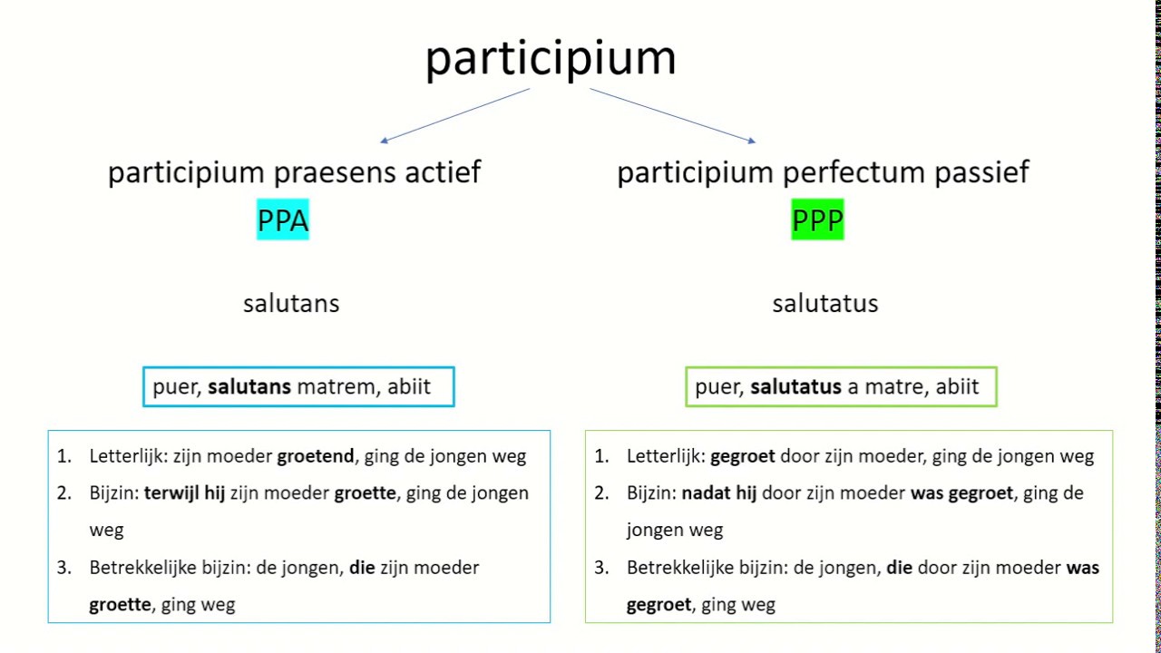 Latijnse grammatica: uitleg participium - YouTube