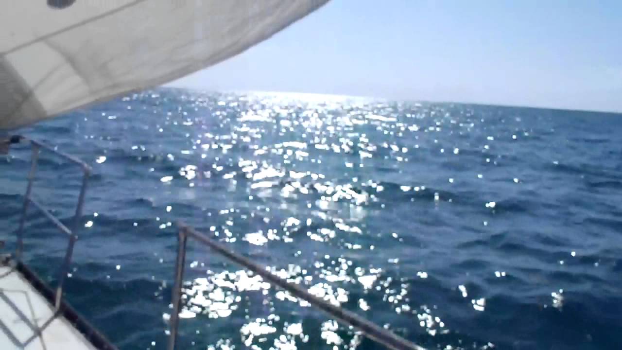 Ghost Dolphins (mermaids) - YouTube