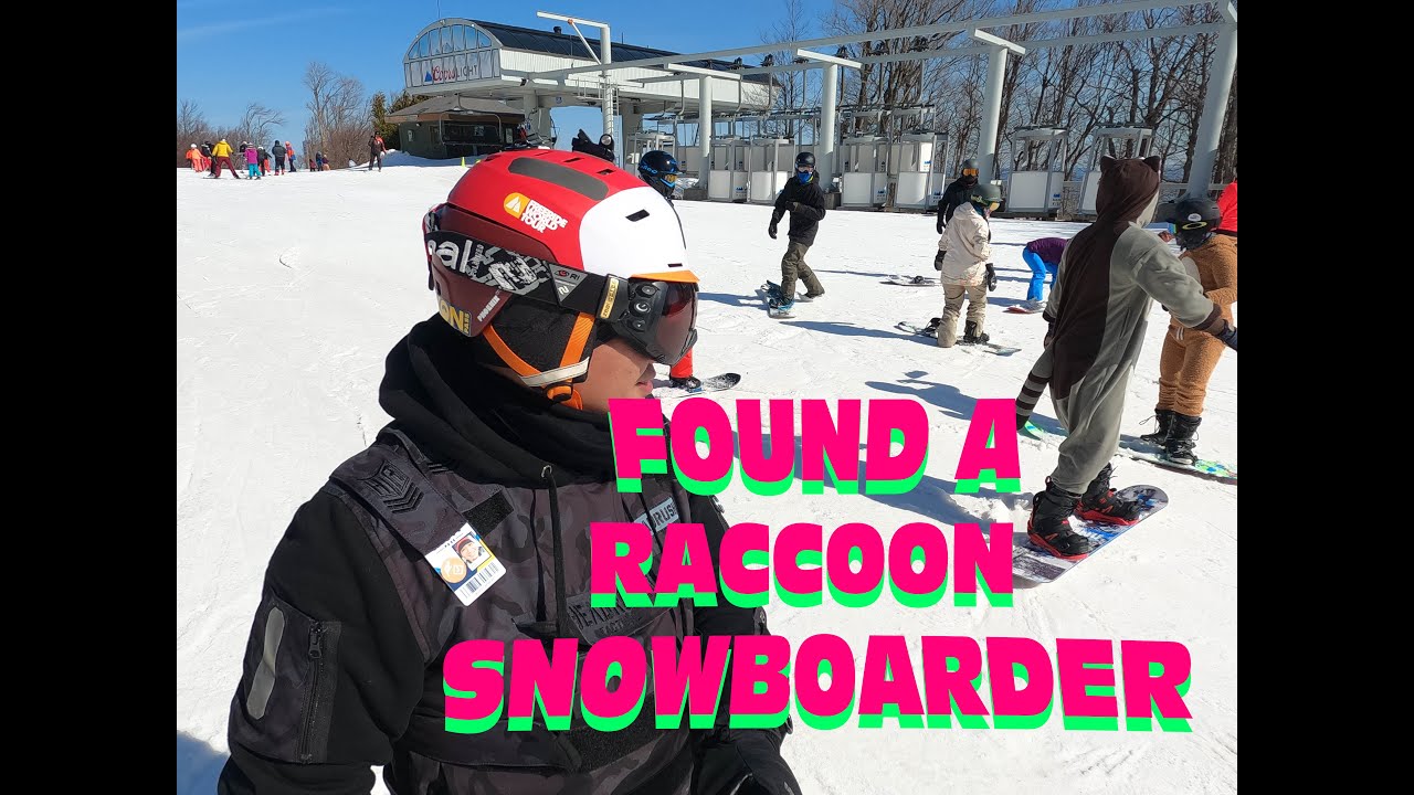 Spring boarding - Part 3 - YouTube