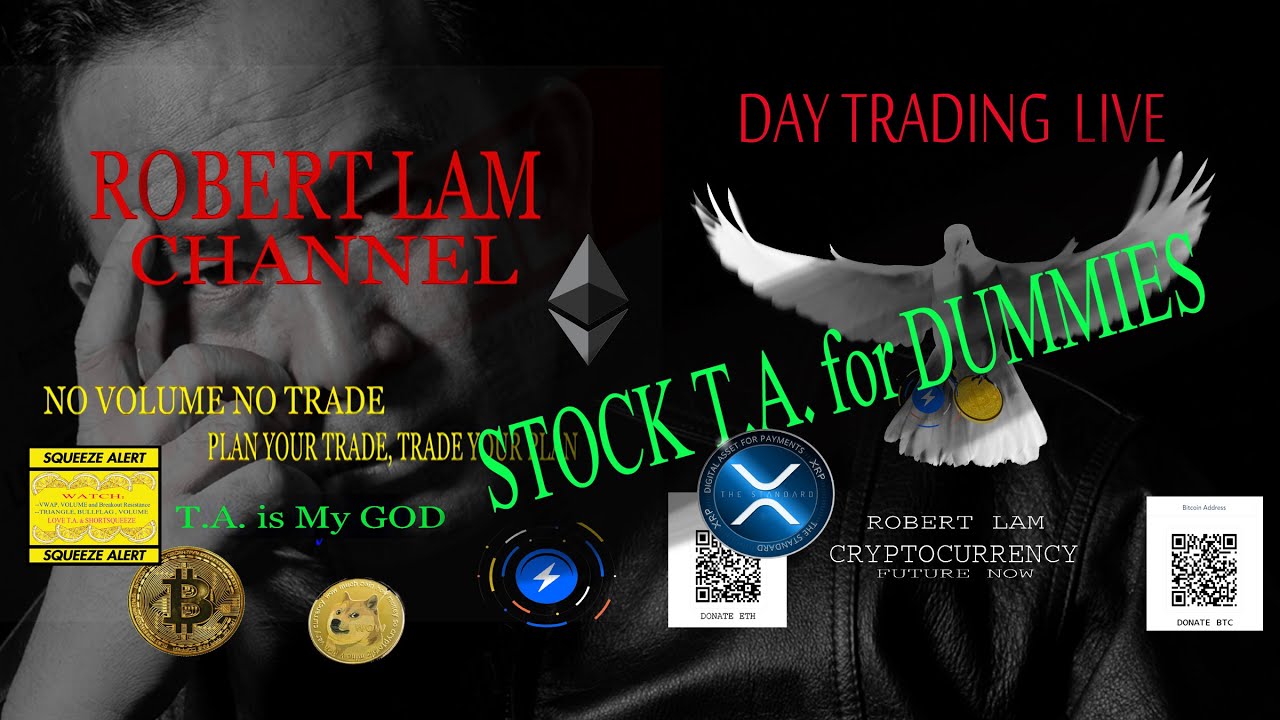 [LIVE TRADING} HOW TO PLAN -TRADE-RECAP : SHORT $NVDA $NVDQ $AGFY +155% ...