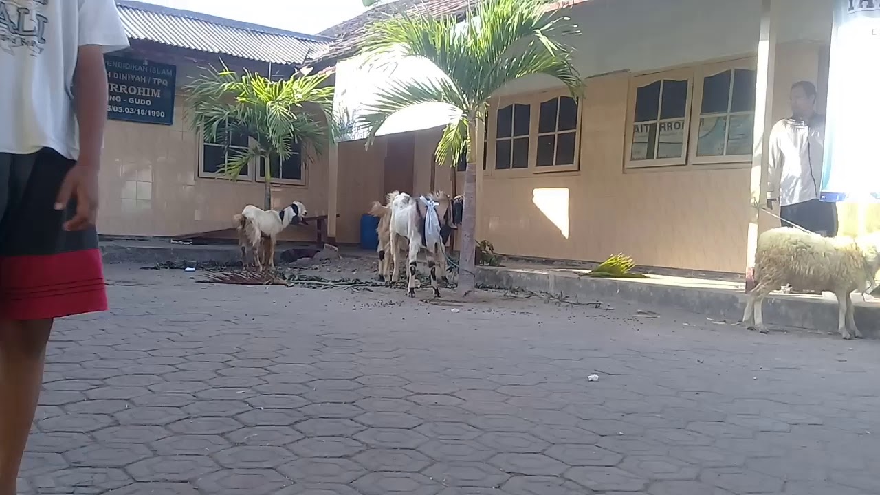 11 Agustus 2019 - YouTube