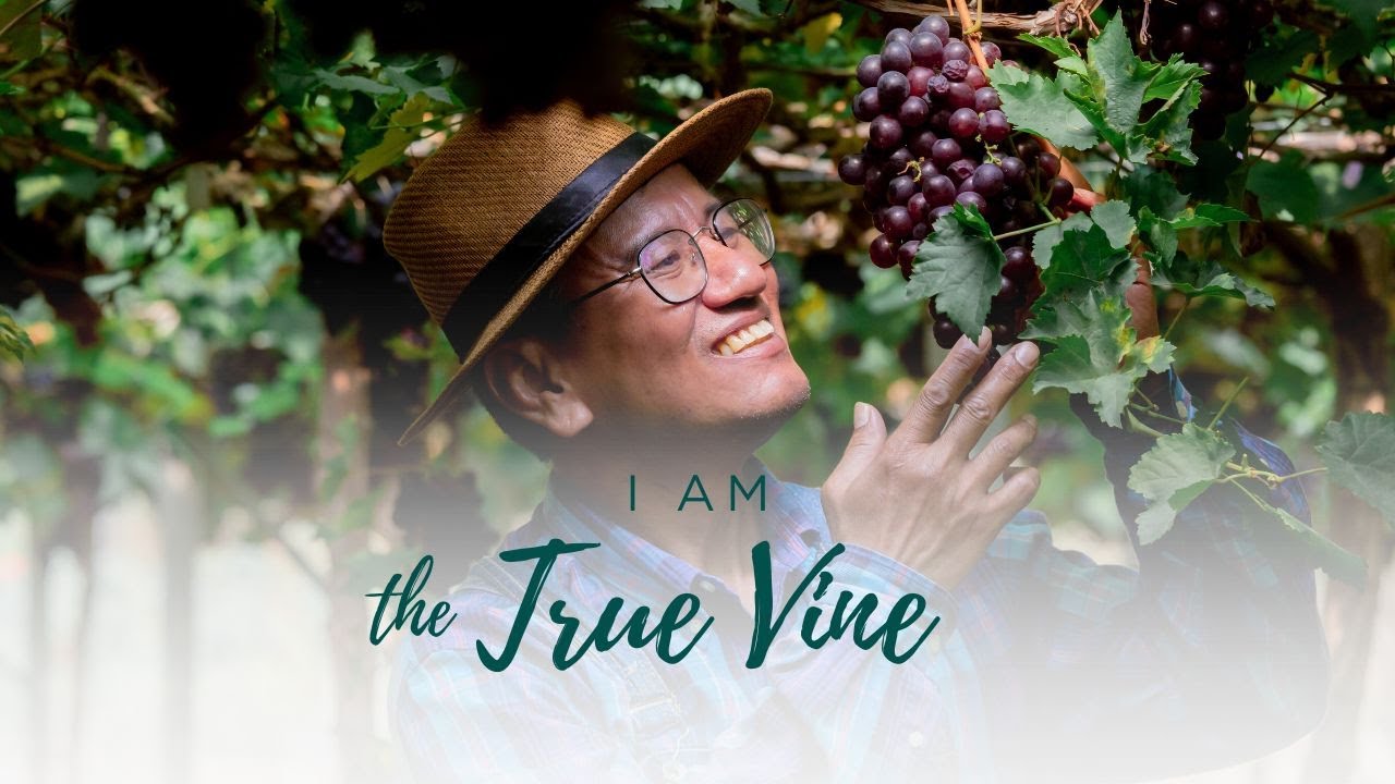 I AM the True Vine | April 28, 2024 - YouTube