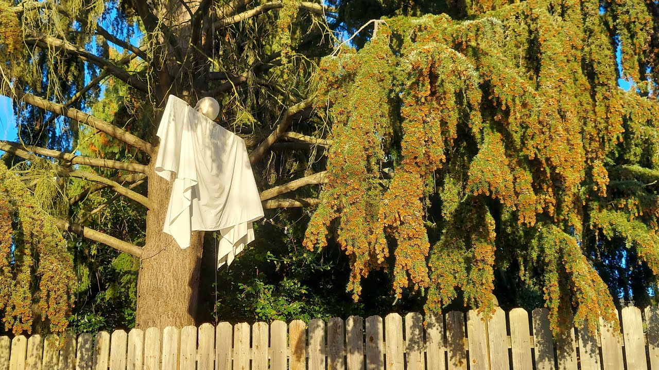 October's new releases + Join our snailing list - YouTube