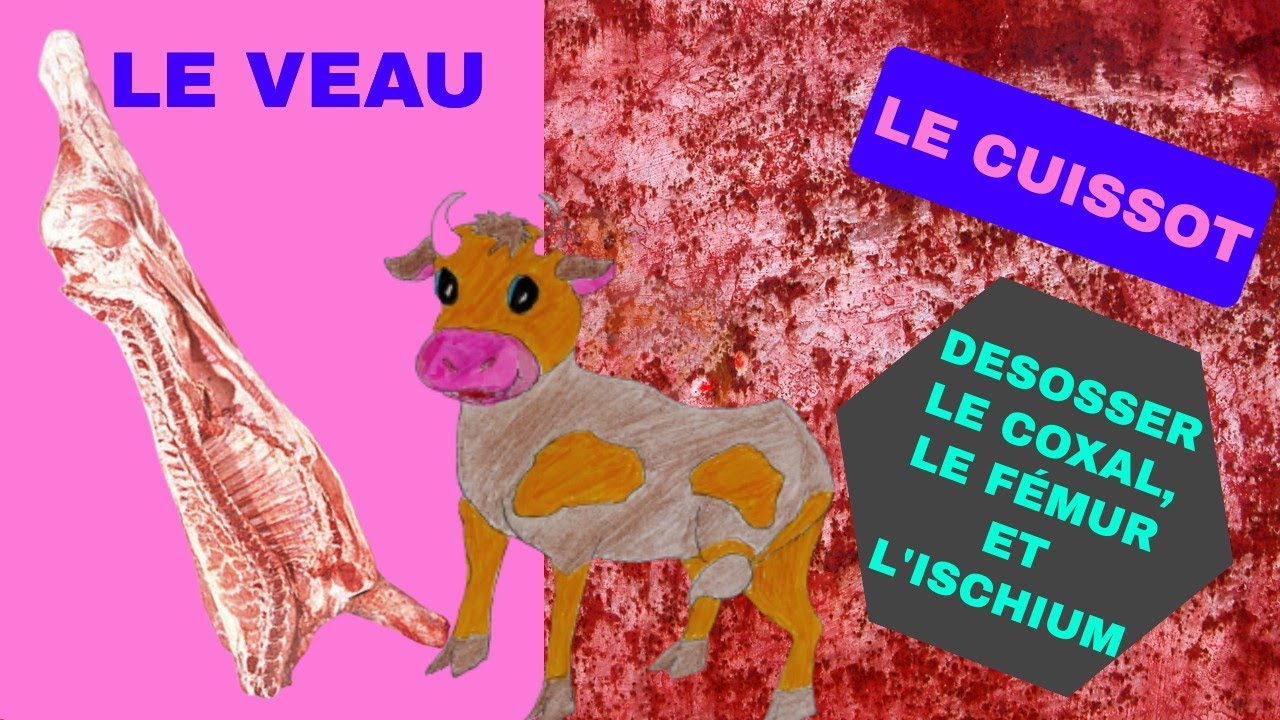 comment séparer le cuissot de veau facilement - YouTube