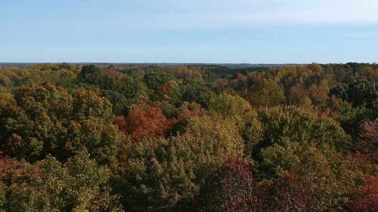 Patrick County Va Fall colors - YouTube