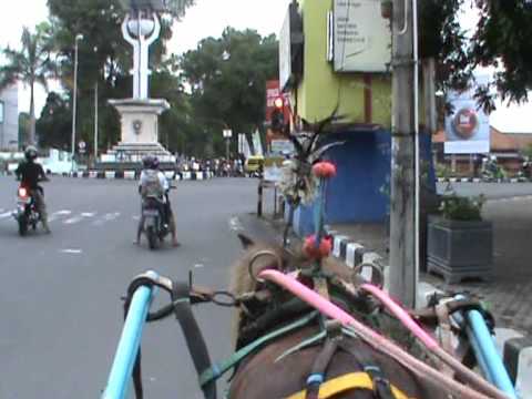 kuda bendi.mpg - YouTube