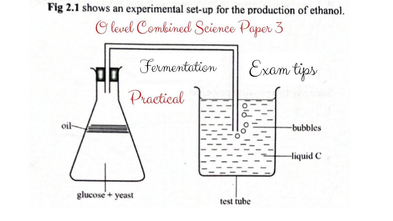 Zimsec Typical Practical question on Fermentation, examined under ...