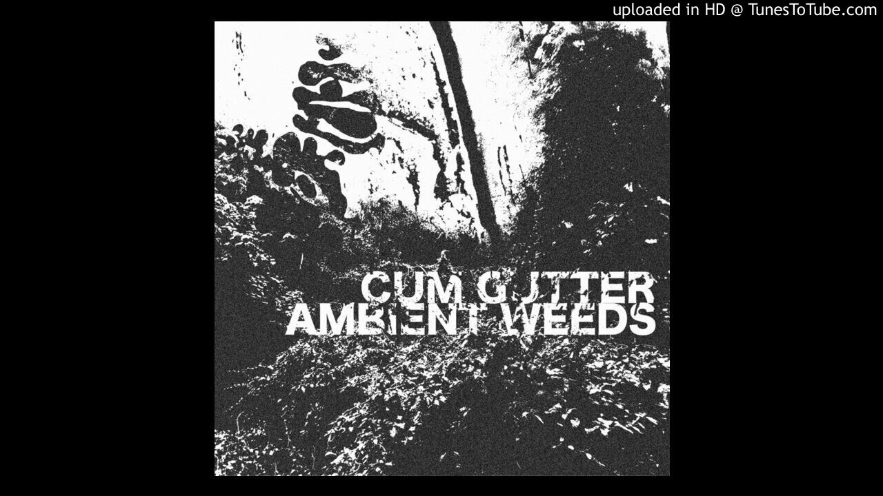 Cum Gutter – Ambient Wound Permanence - YouTube