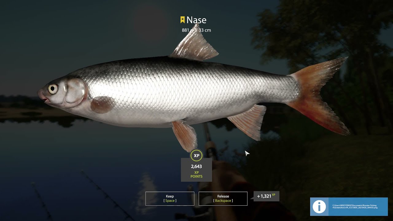 Russian Fishing 4 -Trophy Nase At Sura River - YouTube