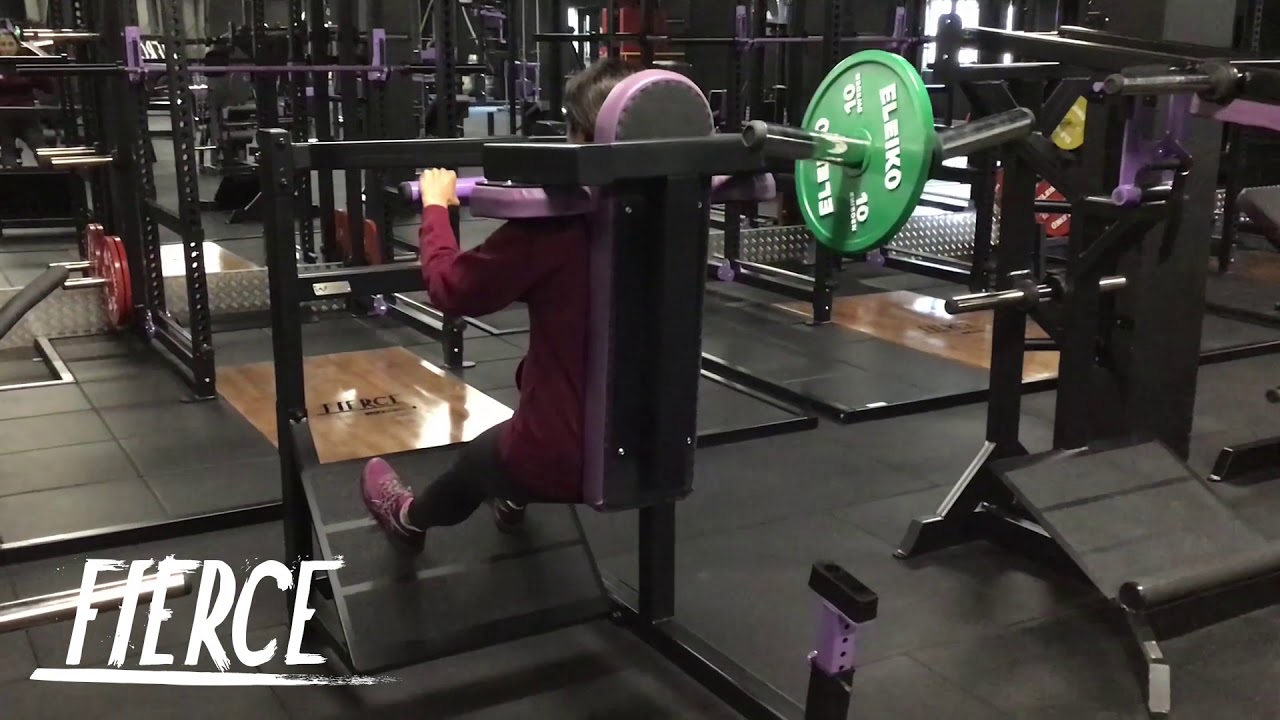 Watson Pendulum Squat - YouTube