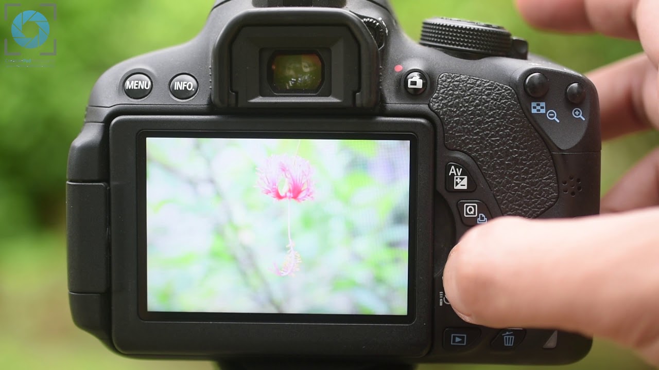 10. ISO and the light meter - DSLR Photography for Beginners Course ...