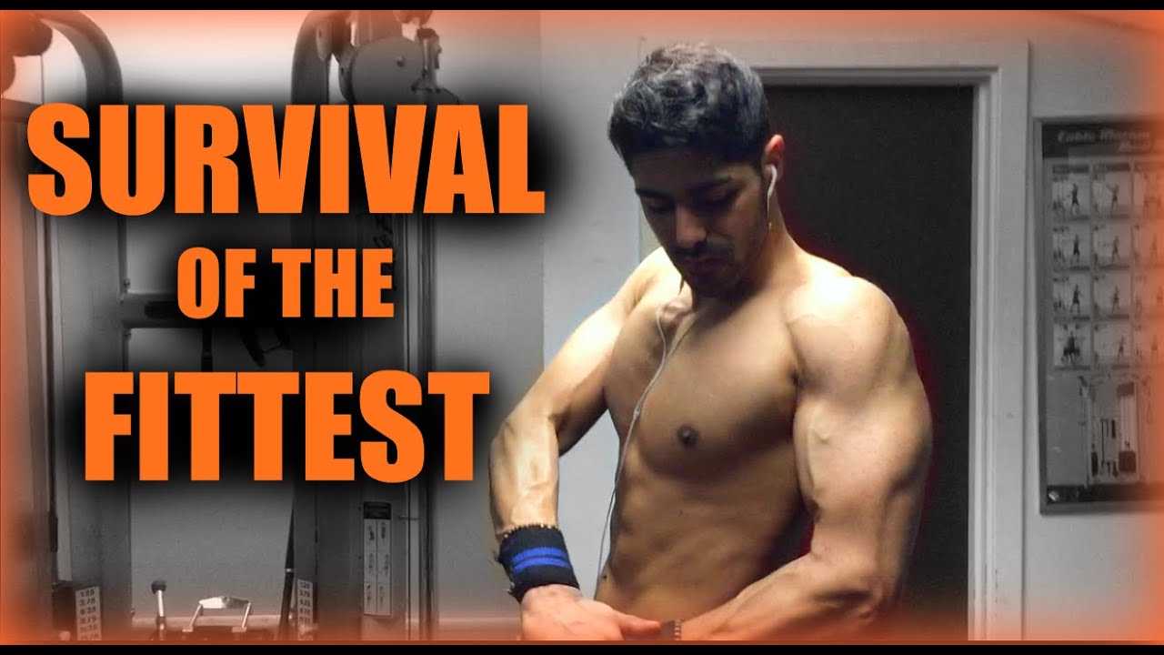 SHOULDERS OF SURVIVAL (GYM MOTIVATION) - Ram Ghuman - YouTube