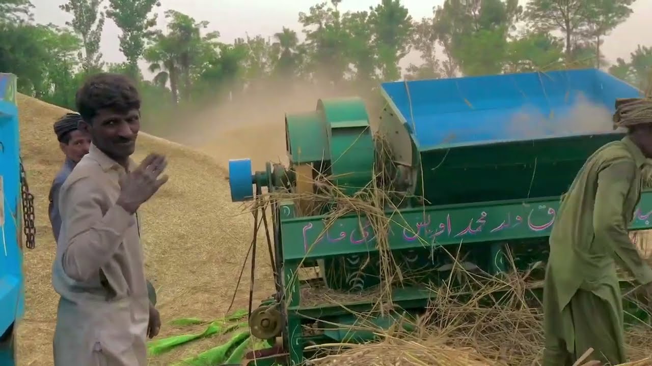 Wheat Thresher Machine with Ford Tractor 4600 // Thresher // New Holland || Tractor with ...