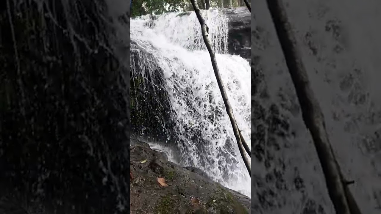 Tentgram # wayanad # Trekking# Waterfalls🔥 - YouTube