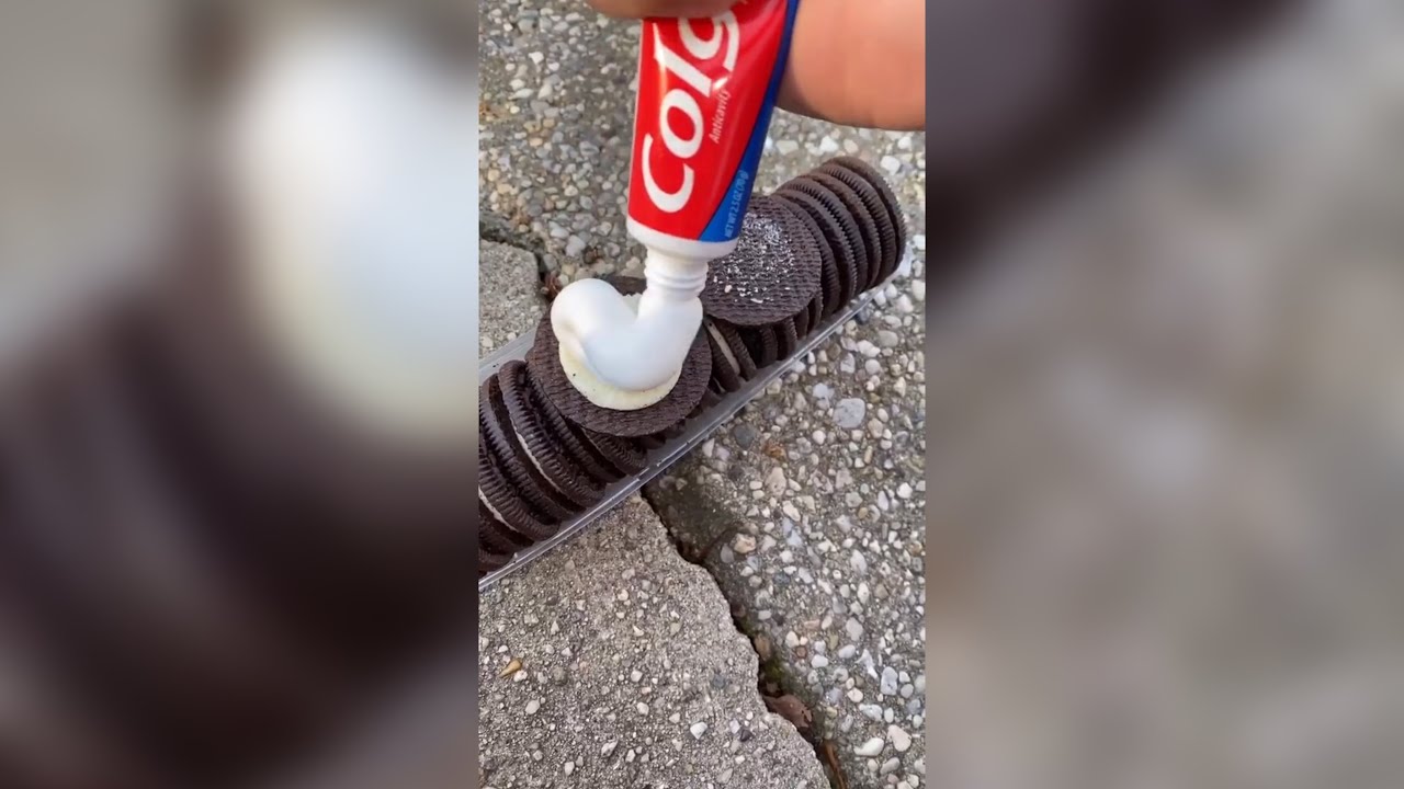 TOOTHPASTE IN OREO PRANK 🤣 #shorts - YouTube