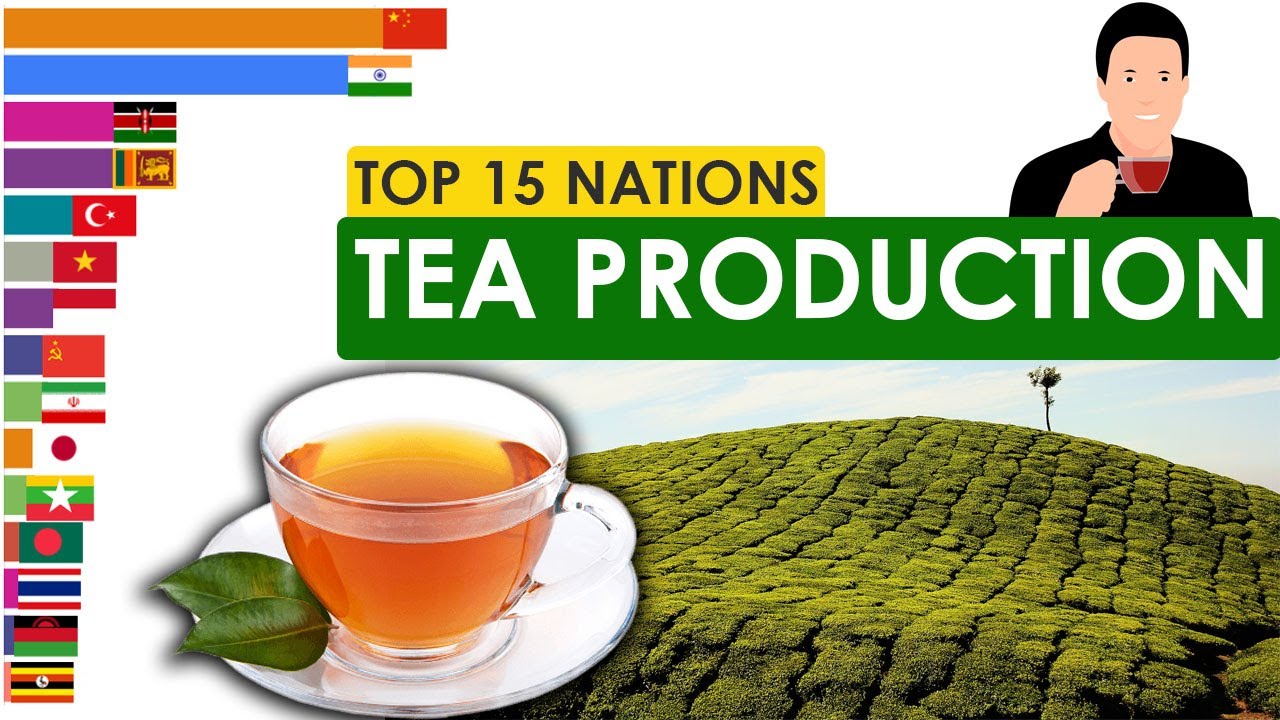 Top Tea Producing Nations (1961 - 2018) | Top 15 Countries | Stats Guru ...