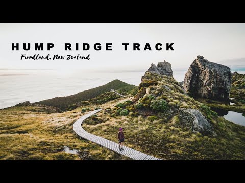 HUMP RIDGE TRACK | FIORDLAND, NZ - YouTube