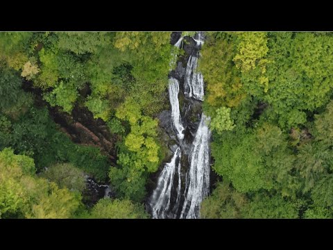 Düzce'nin Doğal Harikaları: Güzeldere ve Aydınpınar Şelaleleri | Orman Manzaraları ile Drone Çekimi