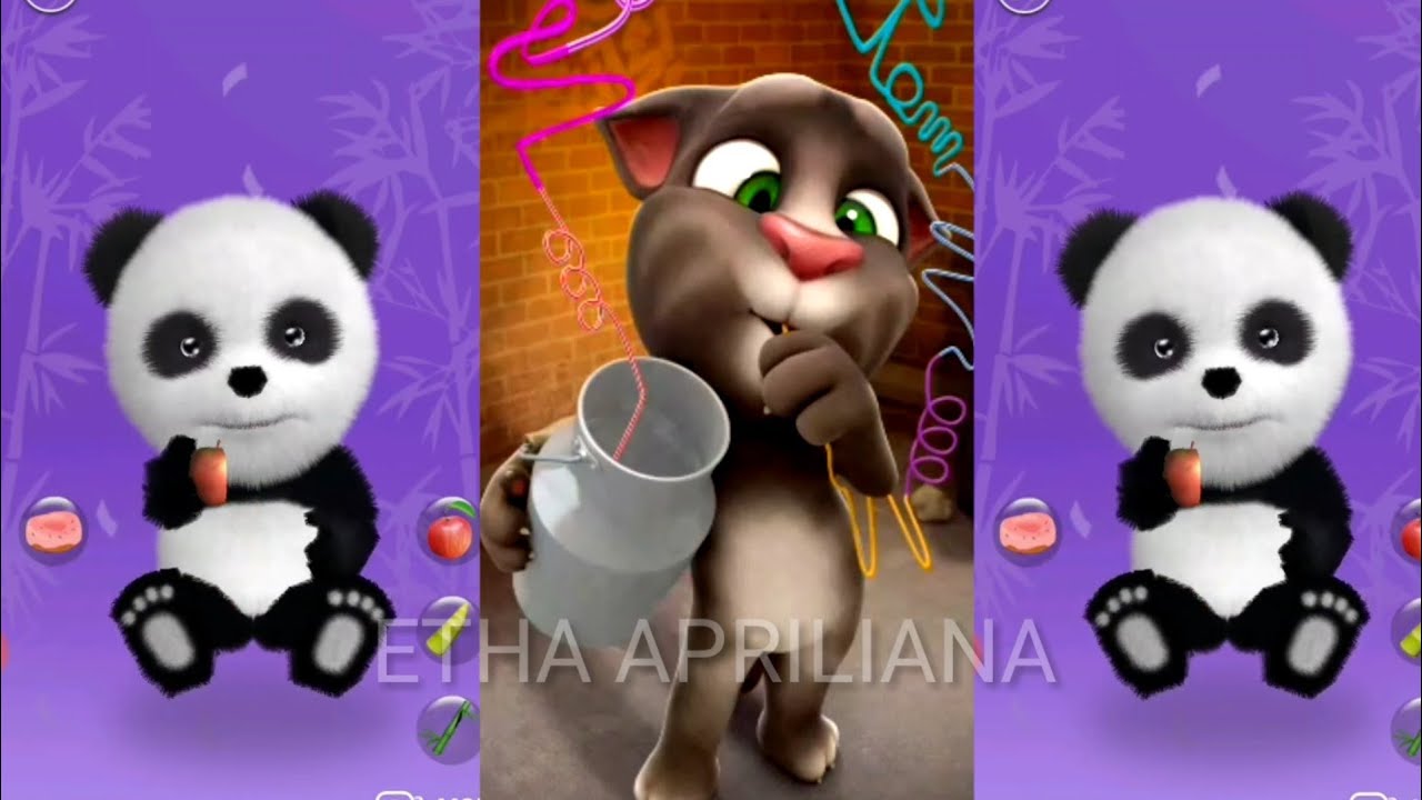 Talking Tom | Talking Tom with Panda Best Video - YouTube