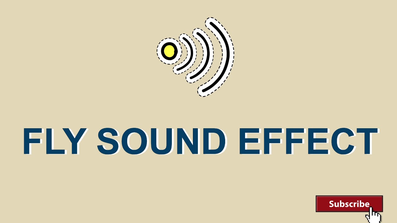 Fly sound effect - YouTube