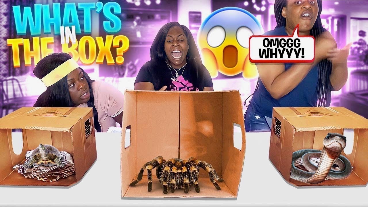 WHATS IN THE BOX CHALLENGE (HILARIOUS) - YouTube